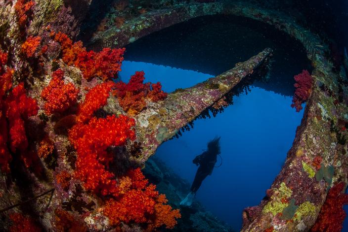 Égypte : dix sites de plongée féériques en mer Rouge