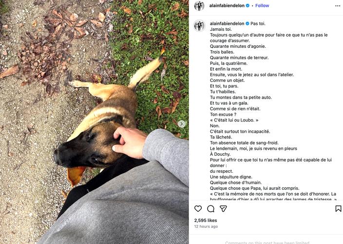 Alain-Fabien Delon : ce que l’on savait de son chien Obba, au coeur de ...
