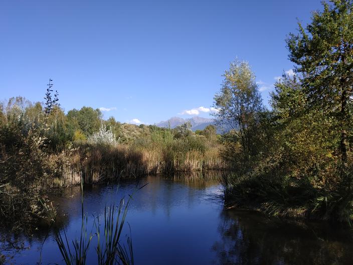 Une tourbière, un canal, un «crapauduc» : la Fondation du patrimoine ...