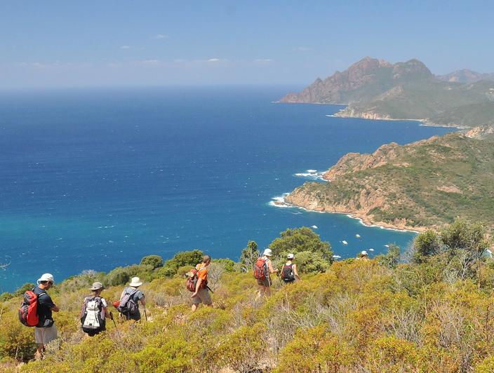 Comment visiter le golfe de Porto et ses calanques de Piana, joyaux ...
