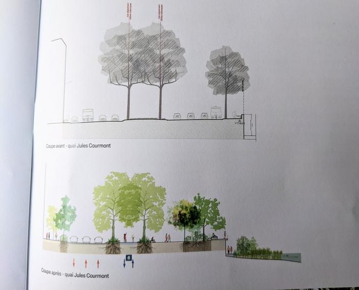 Lyon : moins de voitures, plus d'arbres... À quoi va ressembler le ...