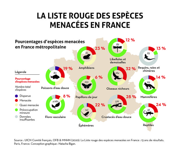 COP15 de la biodiversité : quelles sont les espèces menacées en France