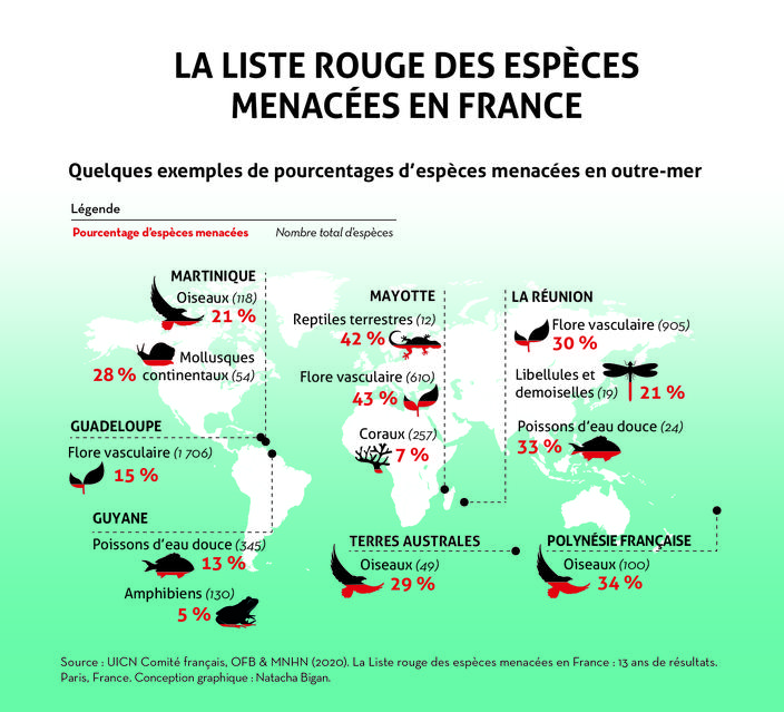 COP15 de la biodiversité : quelles sont les espèces menacées en France
