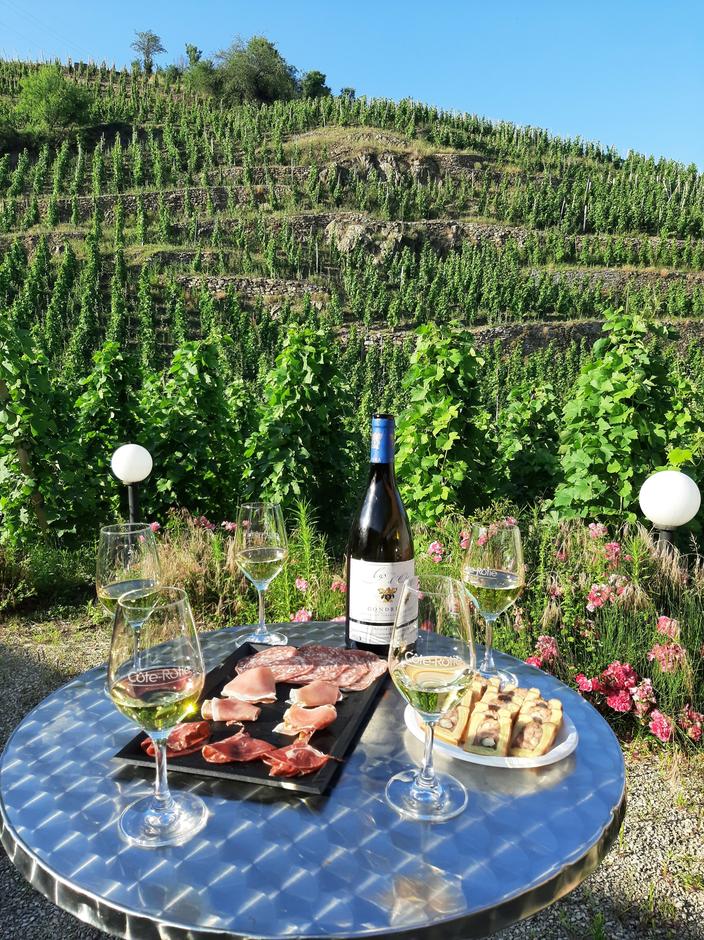 Œnotourisme : 12 territoires viticoles à explorer en Auvergne-Rhône-Alpes