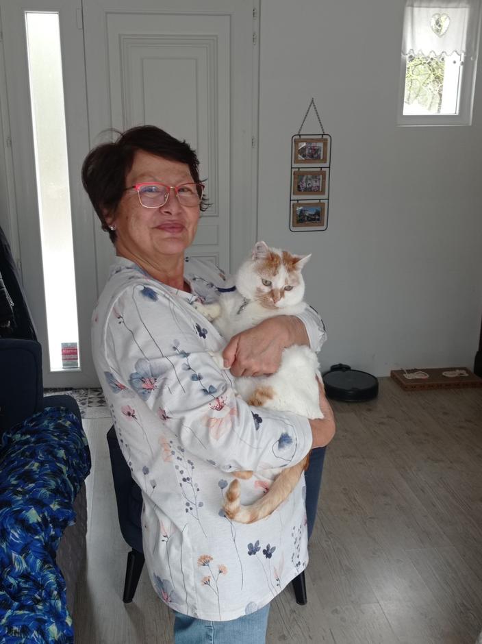 Ma vie avec Belou : «Mon chat m’a appris à me départir de mes préjugés ...