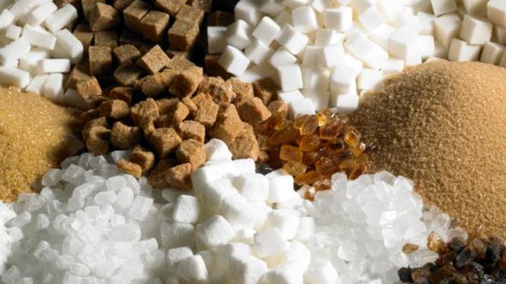 Sucre : informations et actualités