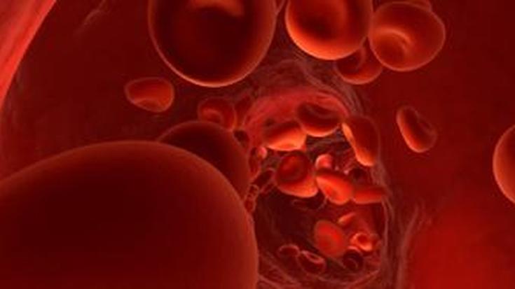 Plaquettes : Informations et actualités