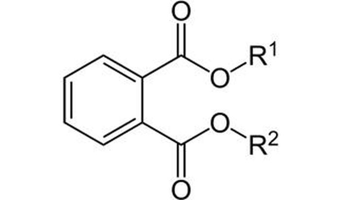 Phtalates : informations et actualités