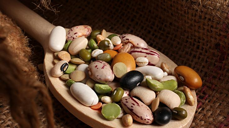Légumes secs (légumineuses) : Informations et actualités