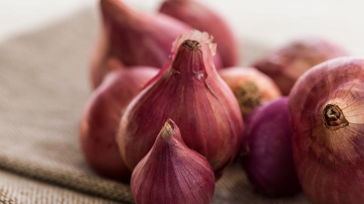 échalote recettes traditionnelles : sublimez vos plats