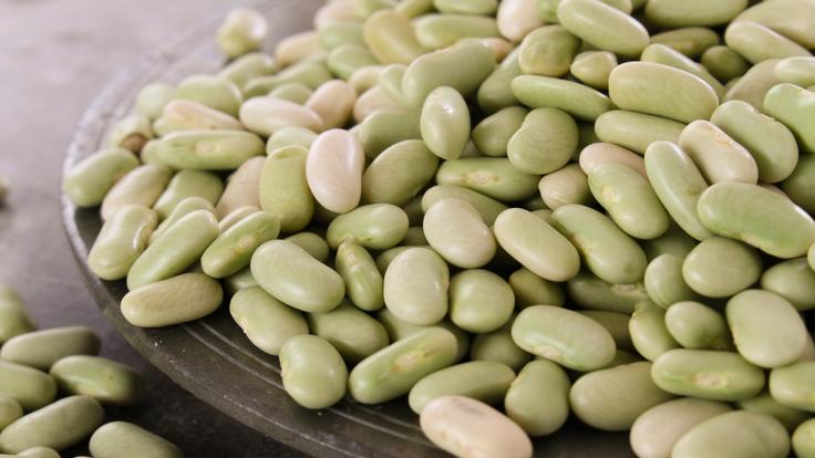 Flageolet recettes traditionnelles : sublimez vos plats