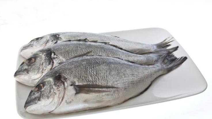 Dorade : composition, bienfaits et risques pour la santé