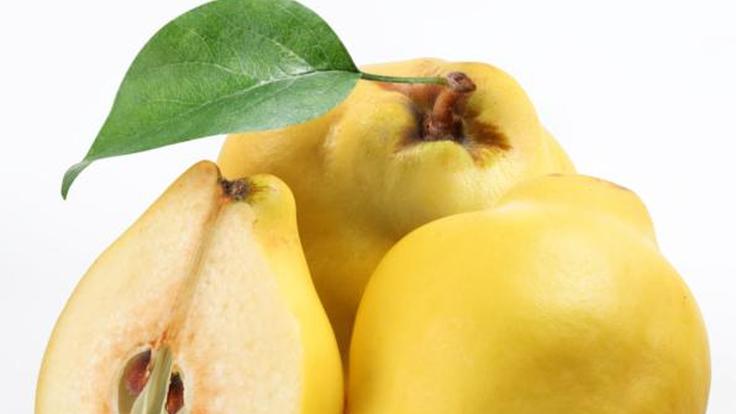 Coing : valeur nutritionnelle, bienfaits et caractéristiques