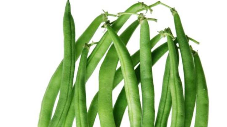 Haricot vert : valeurs nutritionnelles et caractéristiques