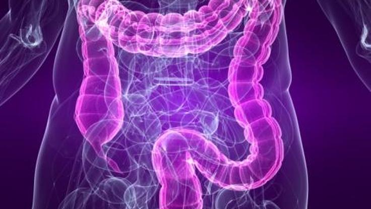 Amibiase : comment reconnaître les premiers symptômes