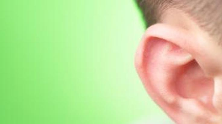 Oreille : anatomie, fonction et maladies associées