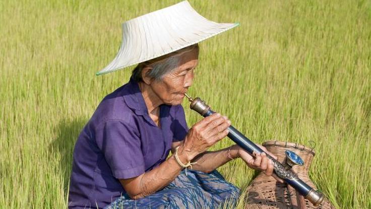 L'opium : la définition, l'histoire et la prévention