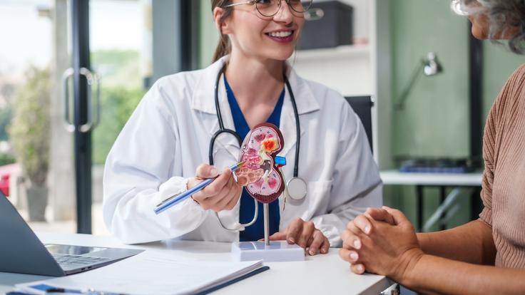 Kyste au rein : peut-il disparaître avec le bon traitement