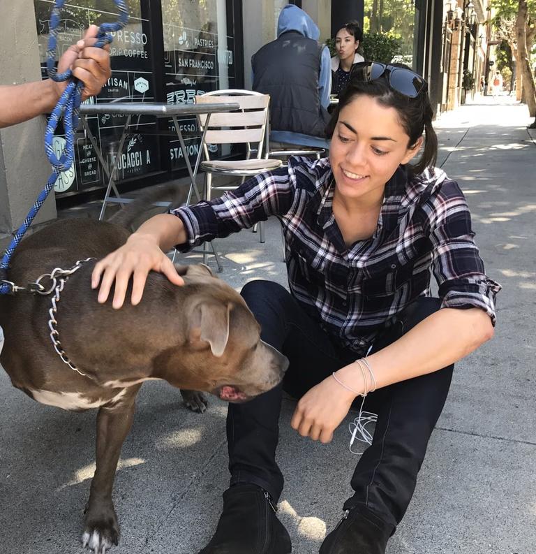 Shivon Zilis, la trentenaire, génie de l’IA, qui partage la vie de l ...