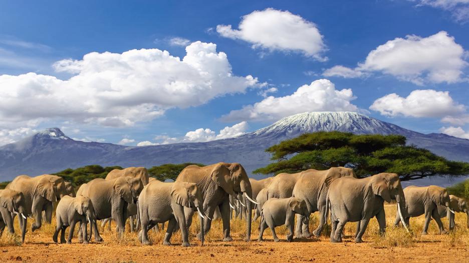 Kenya : que faire et que visiter, parcs et safaris, hôtels, plages, conseils et guide de voyage