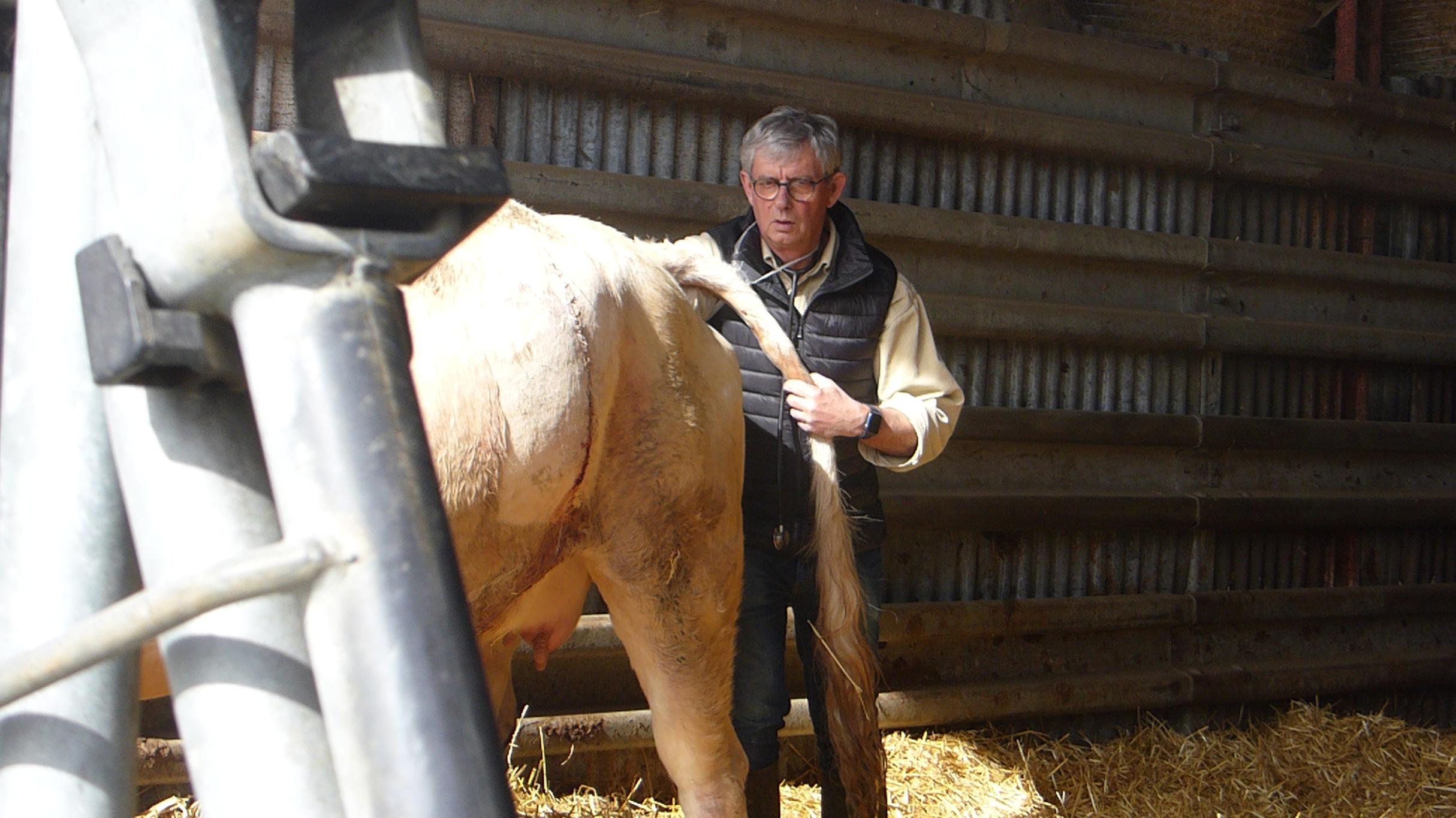 «J’avale près de 300 bornes par jour» : plongée dans le quotidien d’un ...