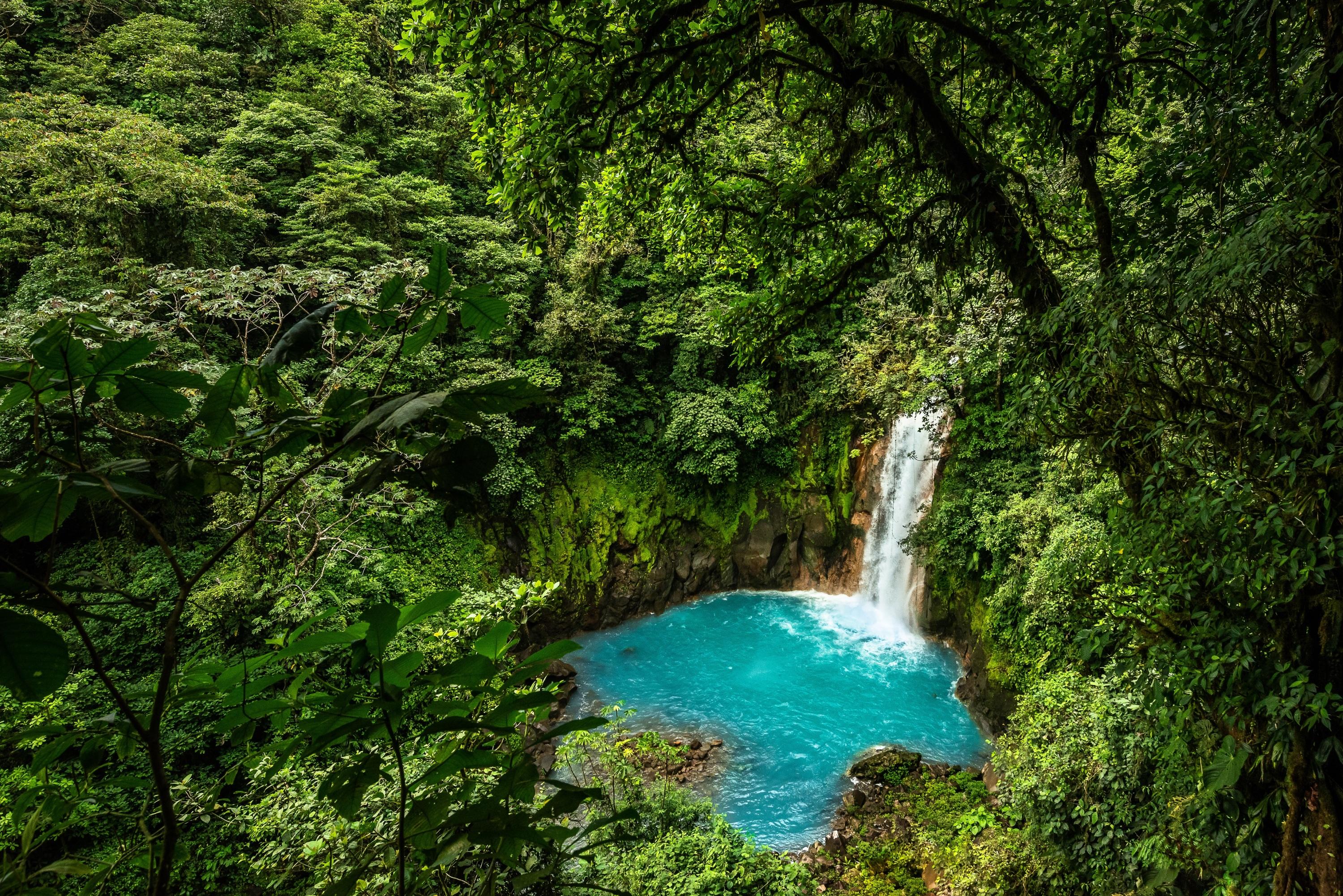 Carnet de voyage au Costa Rica, curieux de nature