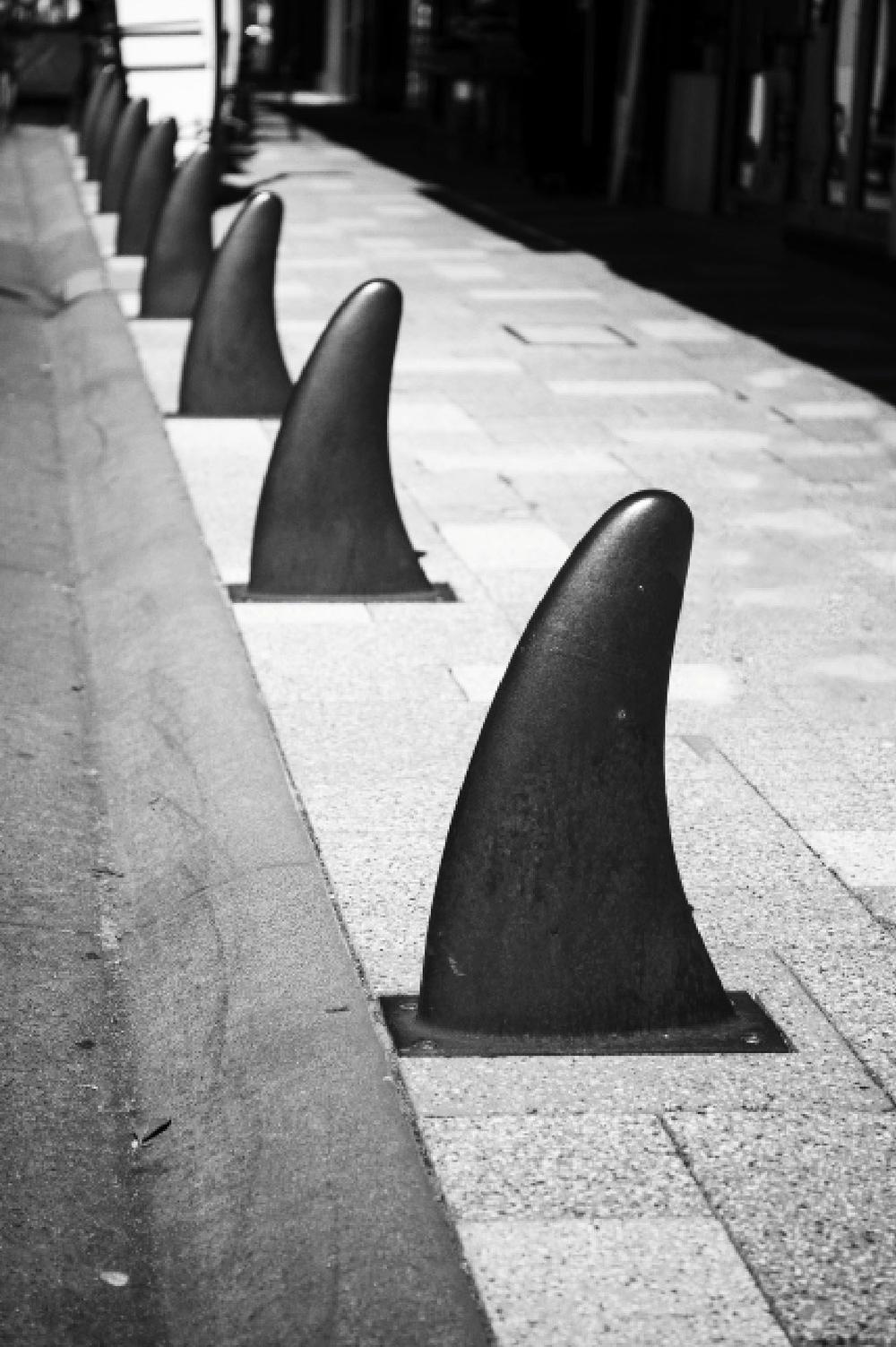 La leçon de surf de Fiona Capp en Australie