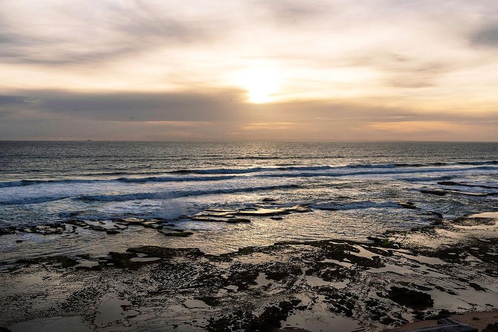 La leçon de surf de Fiona Capp en Australie