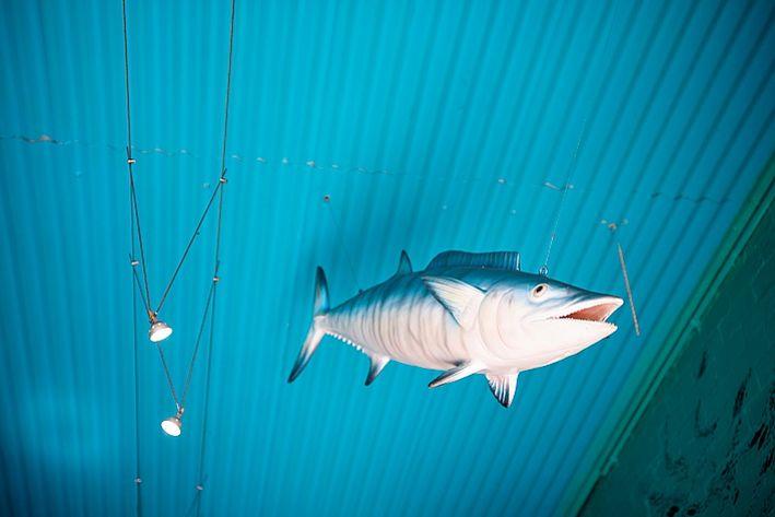 La leçon de surf de Fiona Capp en Australie