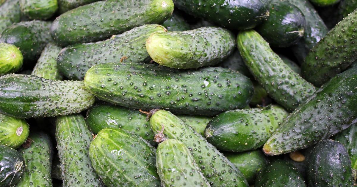 Cornichon, le roi des condiments