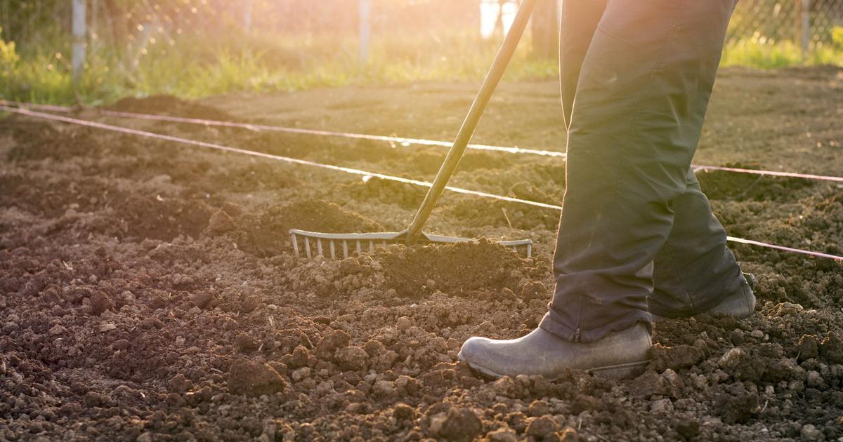 Jardin: idées et remèdes pour soigner la terre