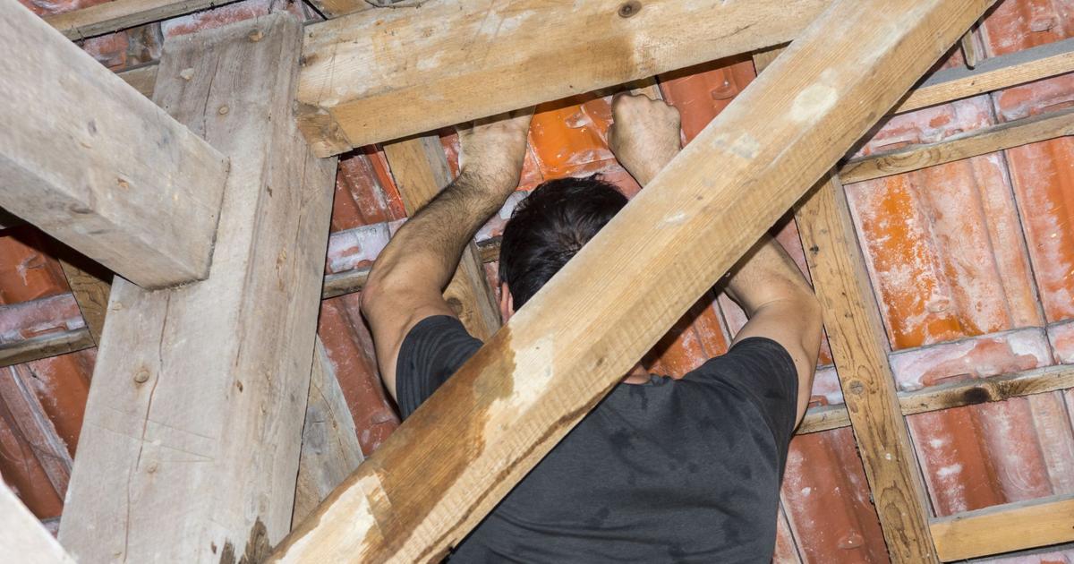 Assurance : une réparation intégrale