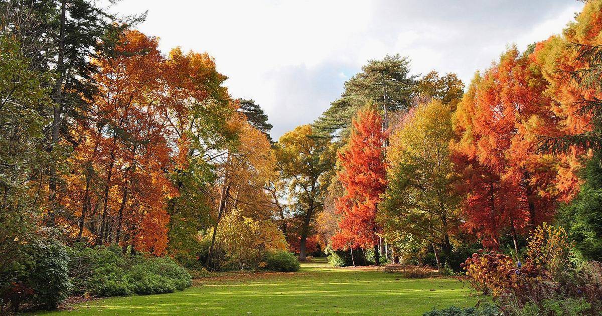 À la découverte des plus beaux arboretums de France