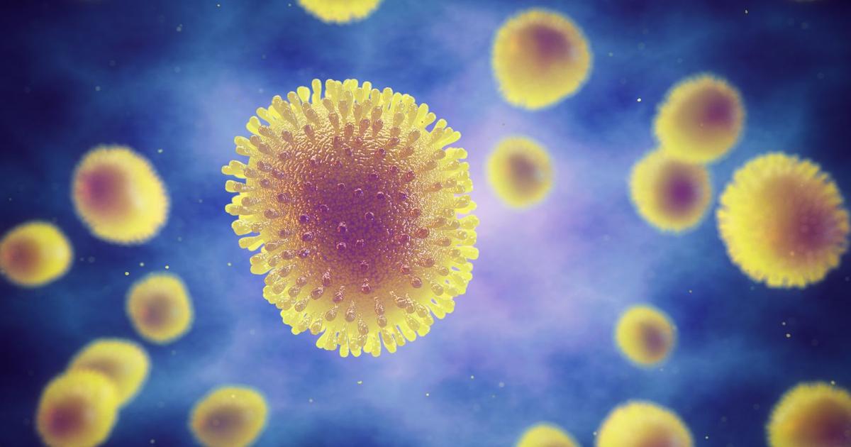 Grippe: l’OMS a décidé de la composition du prochain vaccin