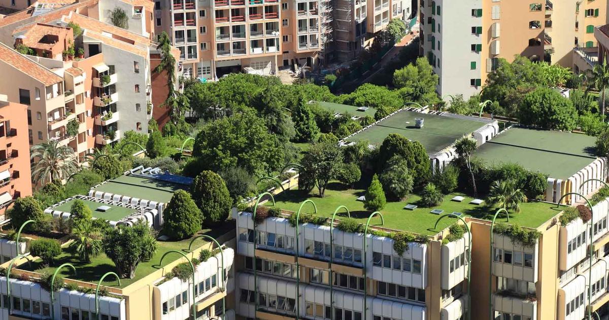 Nous voulons créer un jardin sur le toit de la copropriété