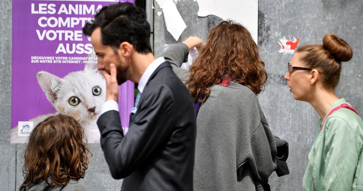 L’animalisme, une idéologie progressiste qui fait son chemin