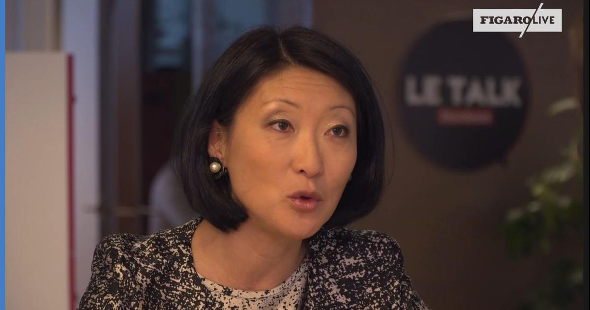 Fleur Pellerin: «Avoir plusieurs vies professionnelles en une, c’est l ...