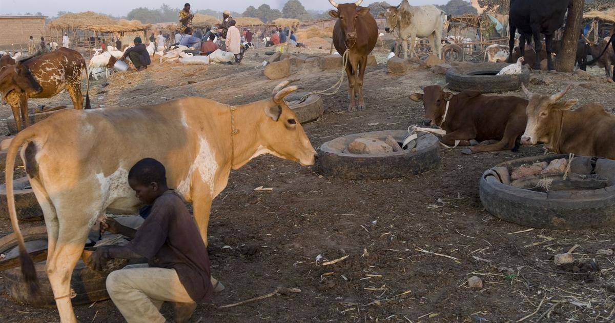 En Afrique, priorité aux jeunes ruraux