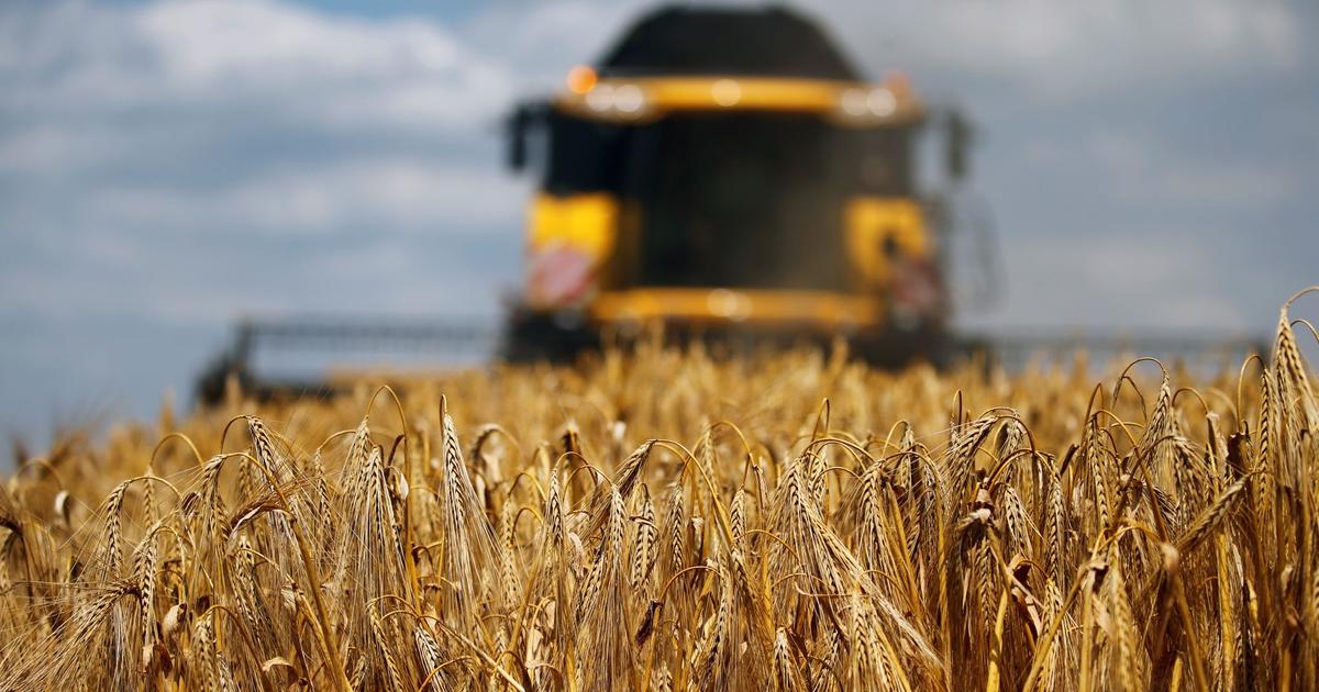 De bonnes moissons en vue pour la France