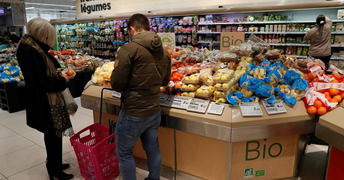 Corners, supérettes dédiées…: le plan de Carrefour pour accélérer dans ...