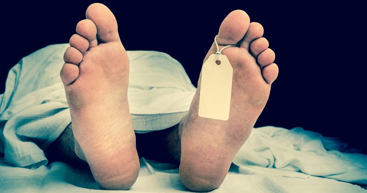 Scandale du charnier de Paris-Descartes: «On a considéré les corps ...