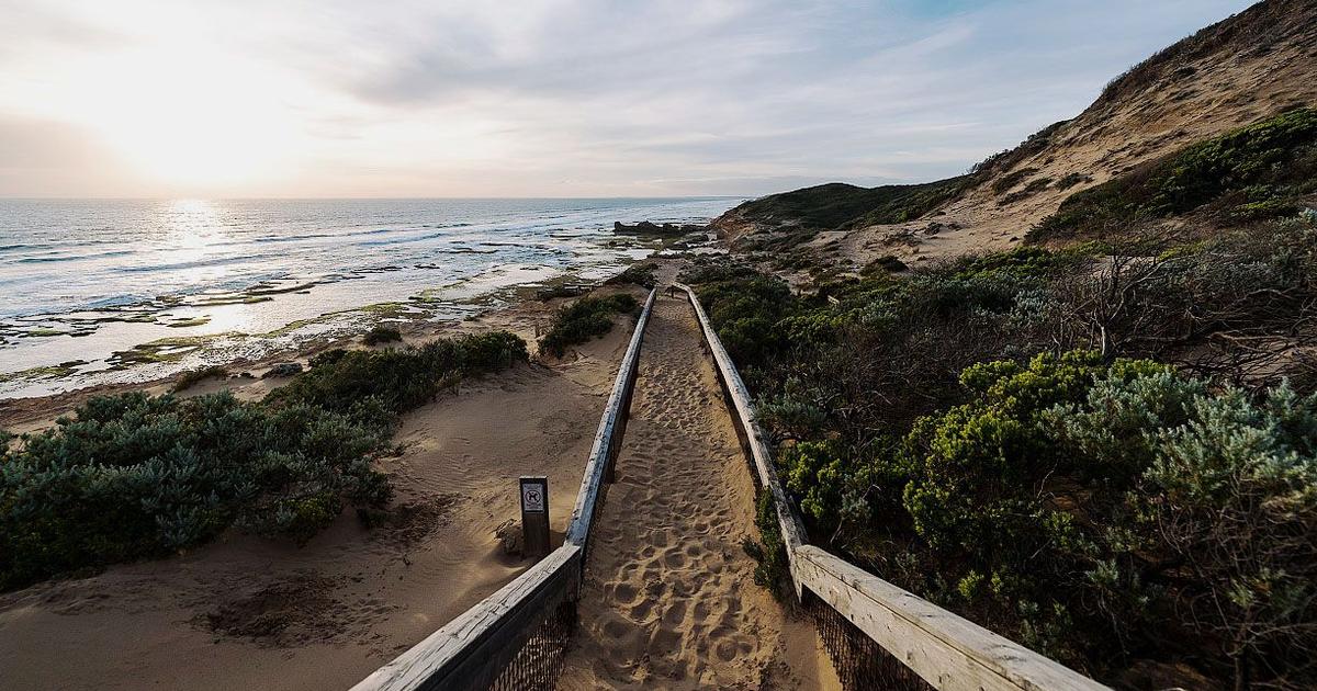 La leçon de surf de Fiona Capp en Australie