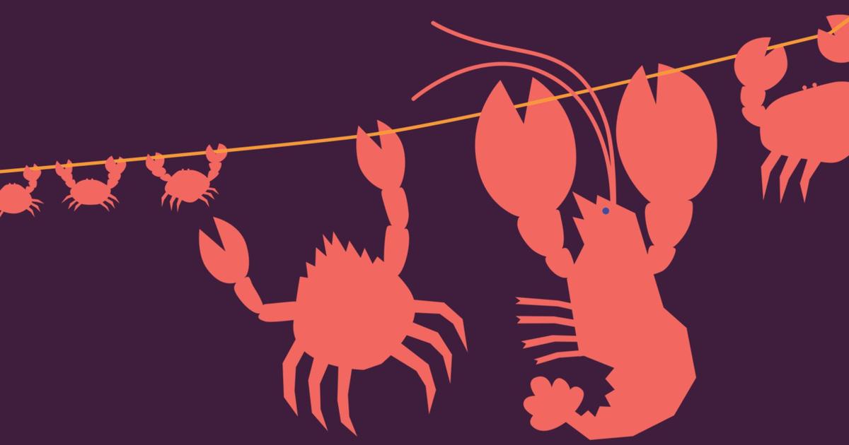 L’incroyable histoire du homard qui sauva sa carapace: on se pince pour ...