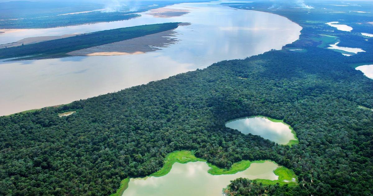 L'Amazonie et ses mystères