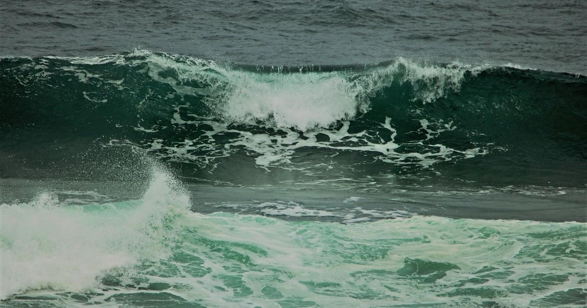 Olivier Babeau - Ce que cette «vague verte» a d’inquiétant