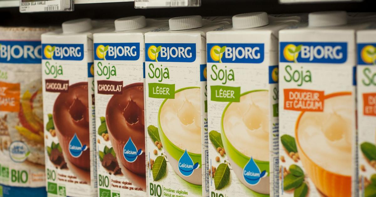 Bio: les nouvelles ambitions de Bjorg