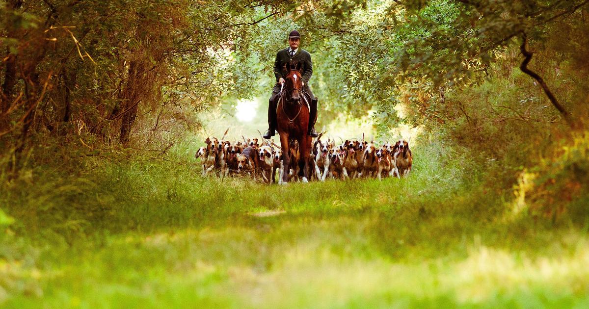 Pourquoi dit-on «sonner l’hallali»?