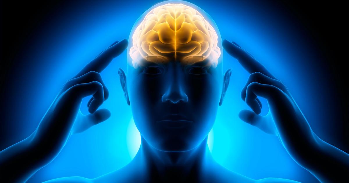 Métamorphopsies: et si une épilepsie était responsable de ces ...