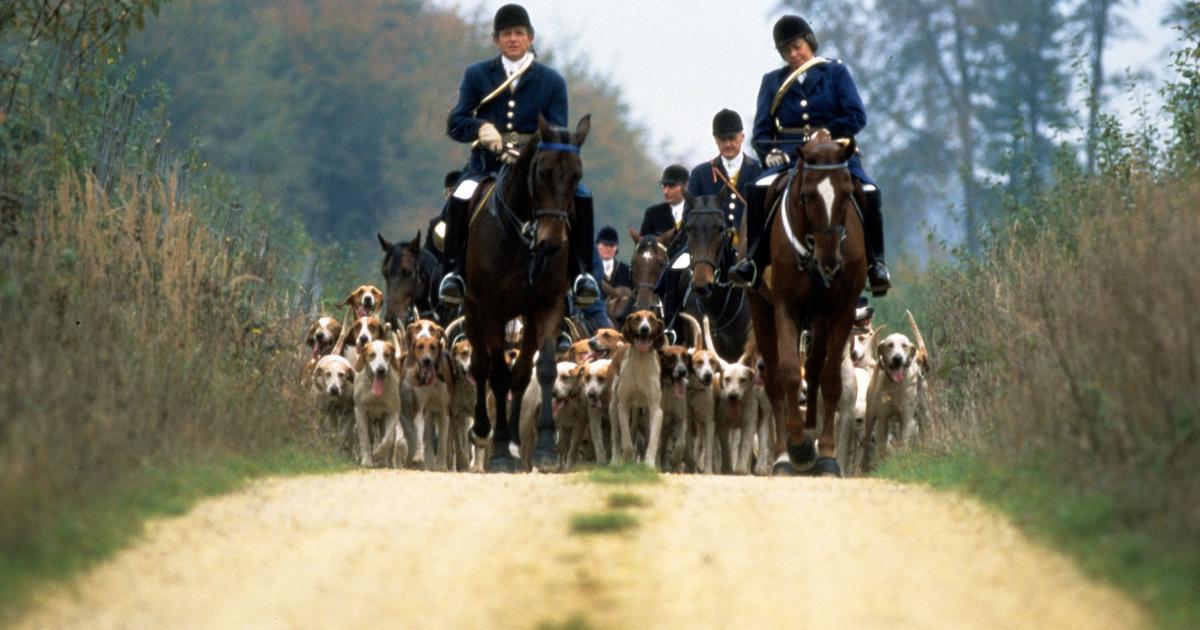 Dix expressions que vous dites (et qui viennent de la chasse à courre)