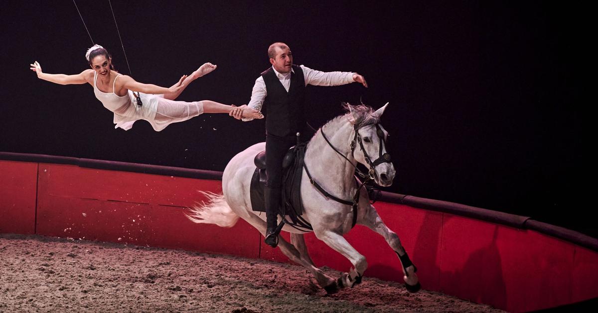 Top Of The Bill Ideas For Cultural Outings This Week The Limited Times Top Of The Bill Ideas For Cultural Outings This Week The Limited Times